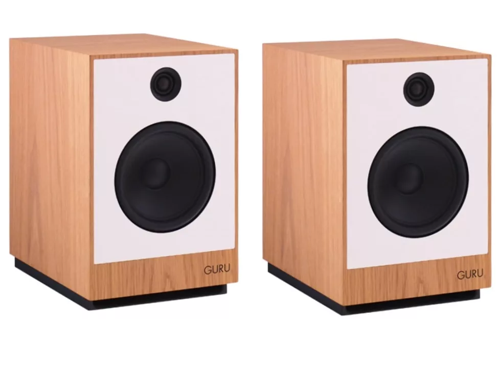 GURU 12 : une bookshelf qui descend étonnamment bas dans le grave ...